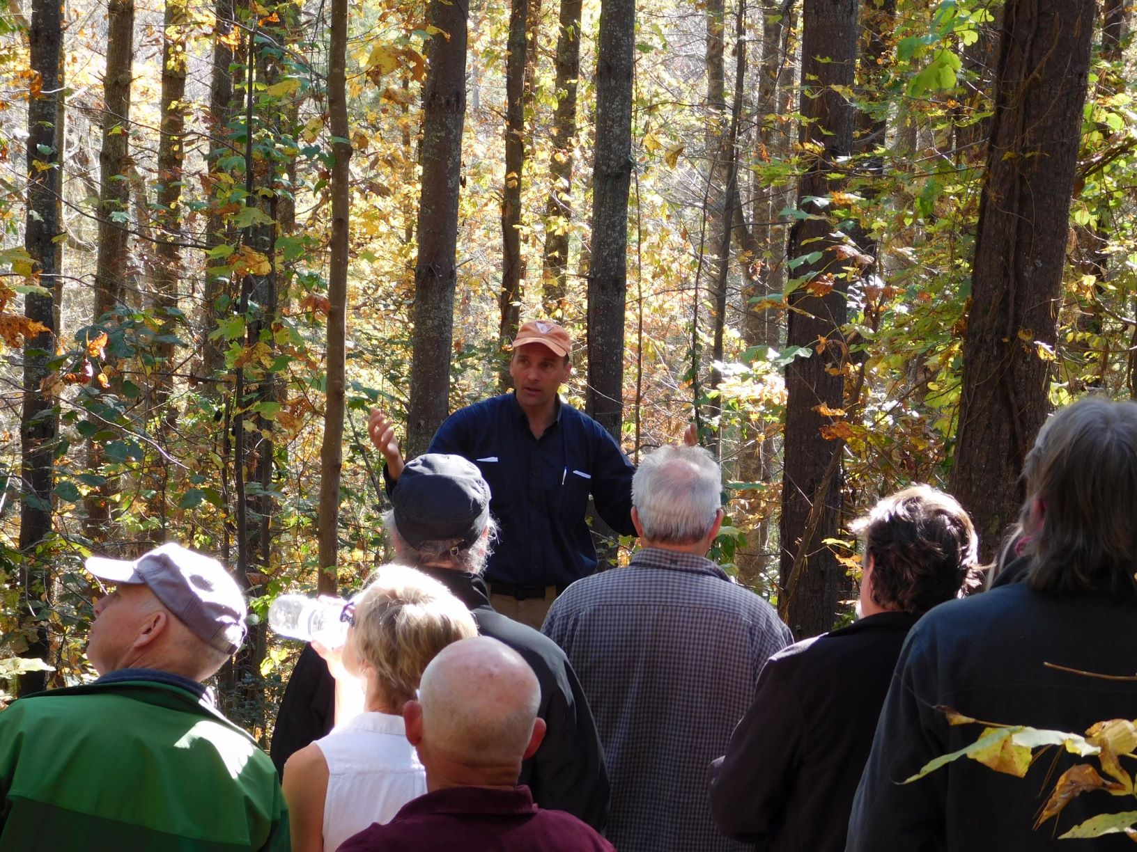 Sandy Mush Forest Restoration – EcoForesters