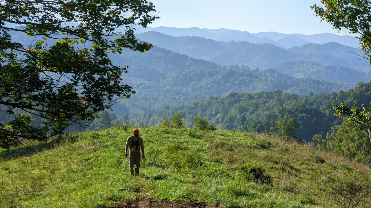 Landscape Scale Restoration (LSR) Projects – EcoForesters