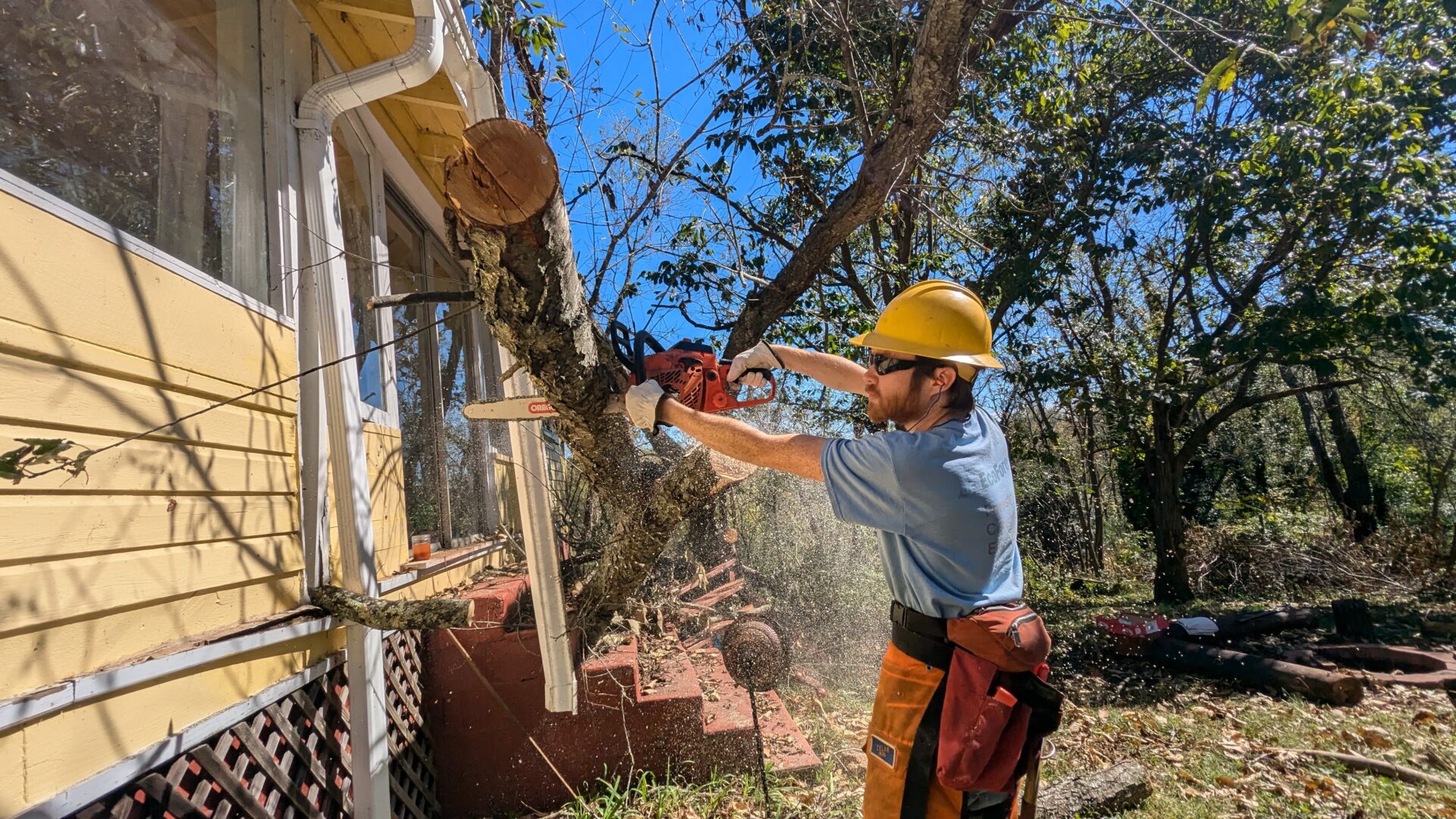 Hurricane Helene Relief Efforts – EcoForesters