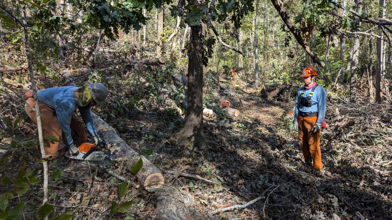 Hurricane Helene Relief Efforts – EcoForesters